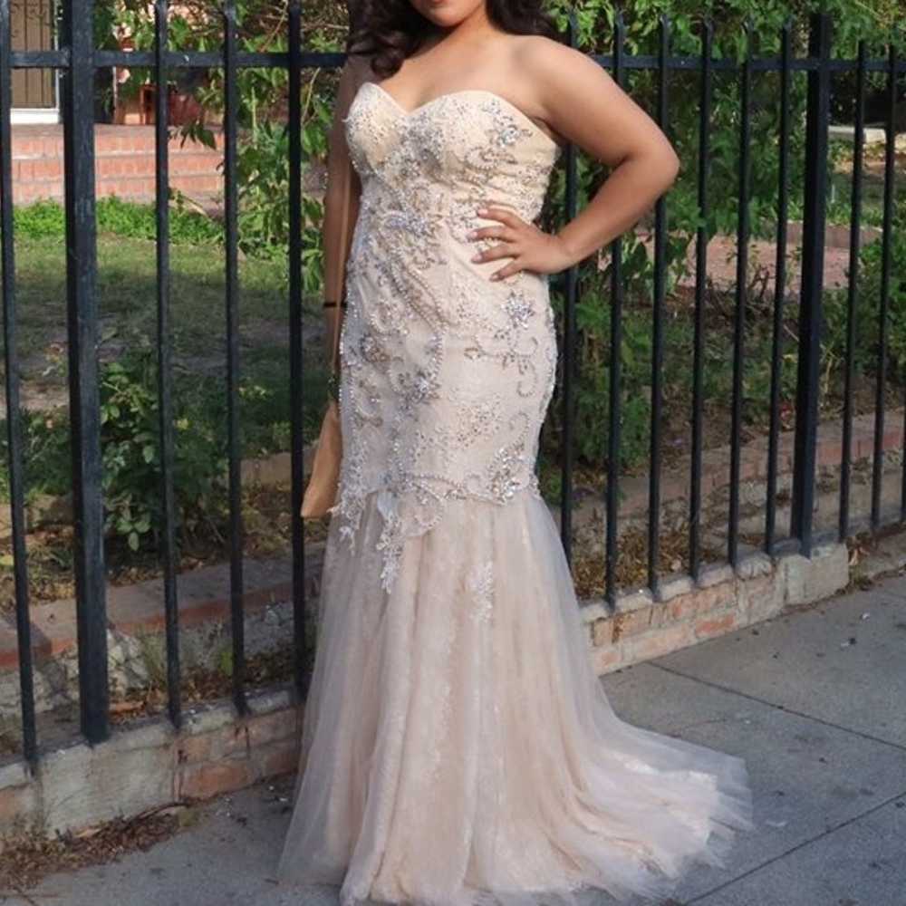 Champagne Mermaid Prom Dress - Gem